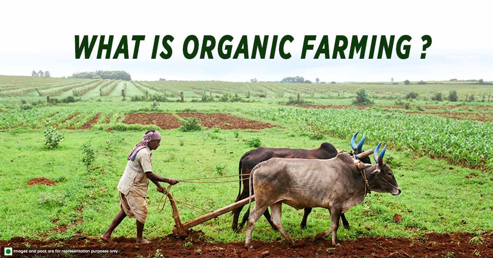 What is Organic Farming?